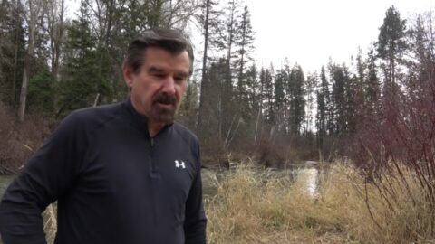 Official Missing 411 Books, DVDs & Collectibles | David Paulides